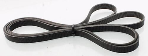 PU 12 Esband Belt 2997mm /118" Long - 7 Ribs 16.4mm wide 3.5 – binneywood